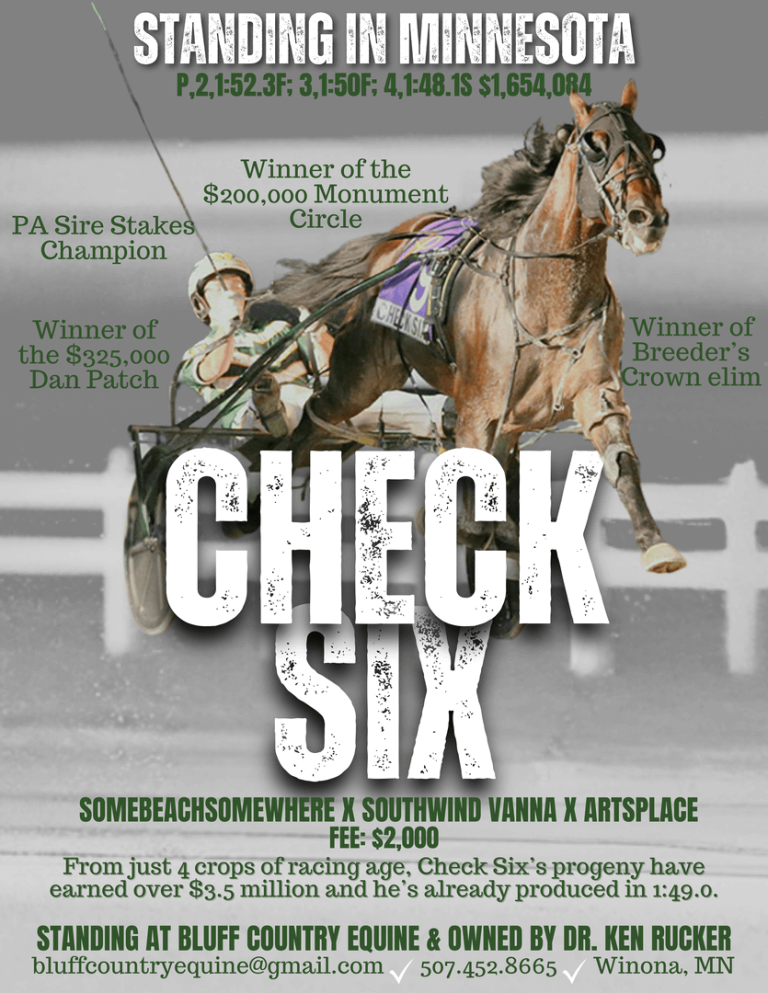 Check Six in Winona, MN | Bluff Country Equine
